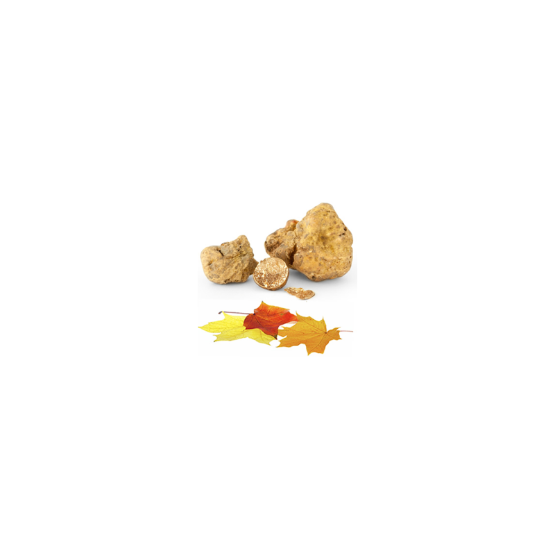 Achat en ligne de truffes fraîches | Truffefrance